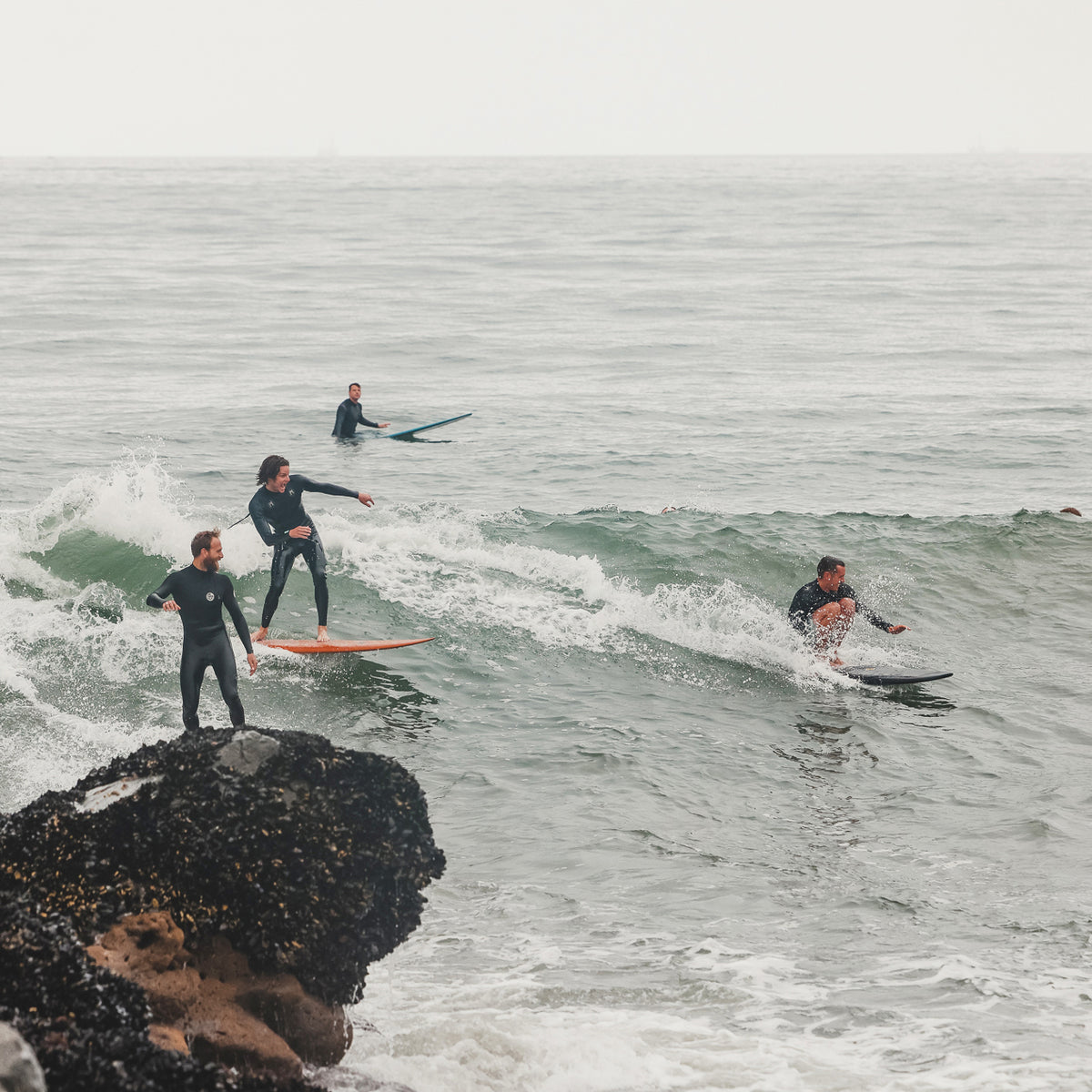 The Earl | Almond Surfboards & Designs