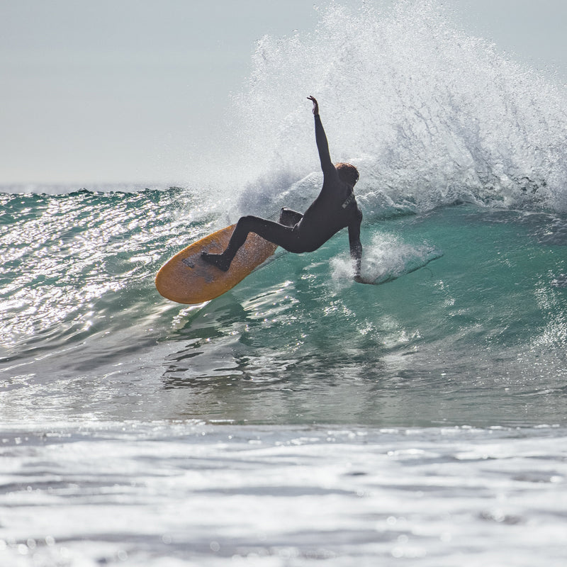 The Special Recipe Fish | Almond Surfboards & Designs